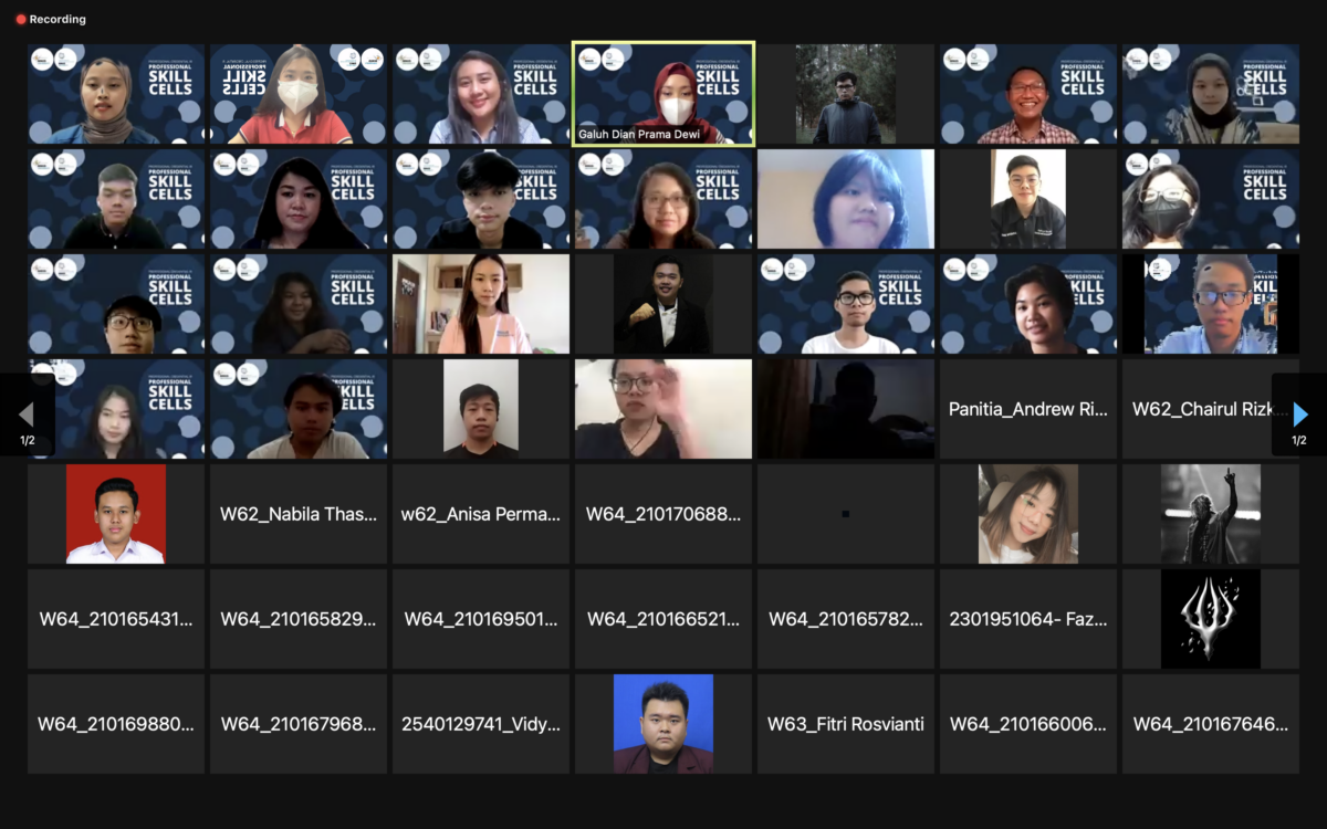 PROFESSIONAL SKILL CELLS #2: BECOMING A PROFESSIONAL - International ...